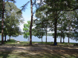 Links - Jefferson Davis County - Mississippi